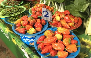 180705_1977_fiji-720