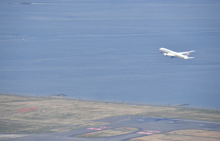 200408_0577_787_jal_logo_rjtt-720