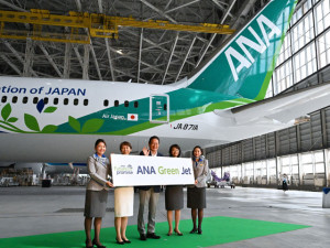 ANA、緑の787「グリーンジェット」お披露目 サステナビリティを機内外で表現