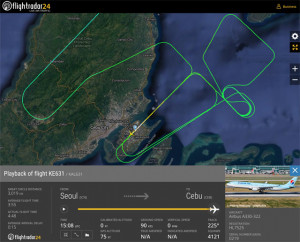大韓航空機、セブでオーバーラン ソウル発KE631便