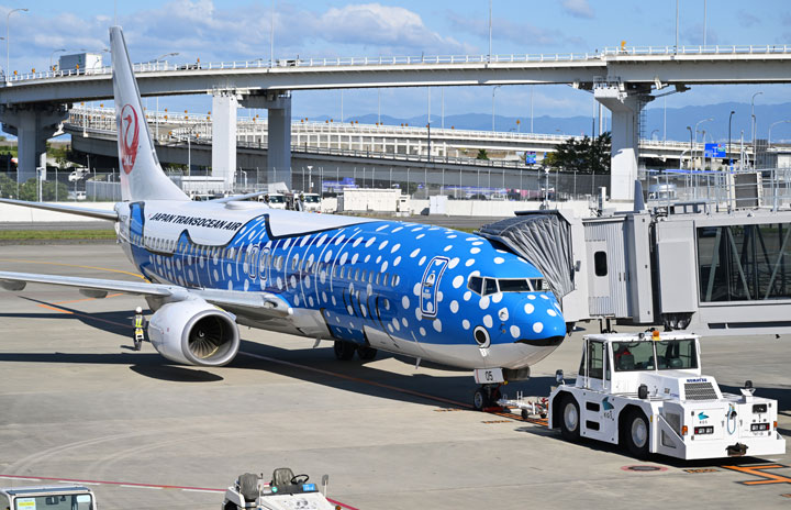 JTA、11月旅客63.6％増24万人 利用率71.1％