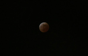 機内から皆既月食、上空で赤黒い「天体ショー」楽しむ ANA、成田発着チャーター便