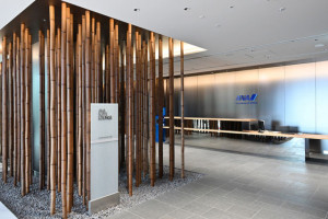 ANA、最上位ダイヤモンド会員を株主特典に 約6000万円でゲット