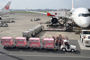 JAL、ピンクの貨物コンテナで乳がん予防啓発 A350で沖縄へ