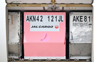 JAL、ピンクの貨物コンテナで乳がん予防啓発 A350で沖縄へ