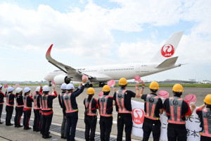 JAL、ピンクの貨物コンテナで乳がん予防啓発 A350で沖縄へ