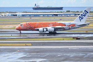 ぱっちりまつげとオレンジが映える 写真特集・ANA A380 3号機 ロールアウトから就航まで