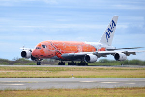 ぱっちりまつげとオレンジが映える 写真特集・ANA A380 3号機 ロールアウトから就航まで