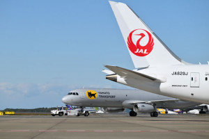 231120_b0131_A321P2F_yamato_jal_sjo-640