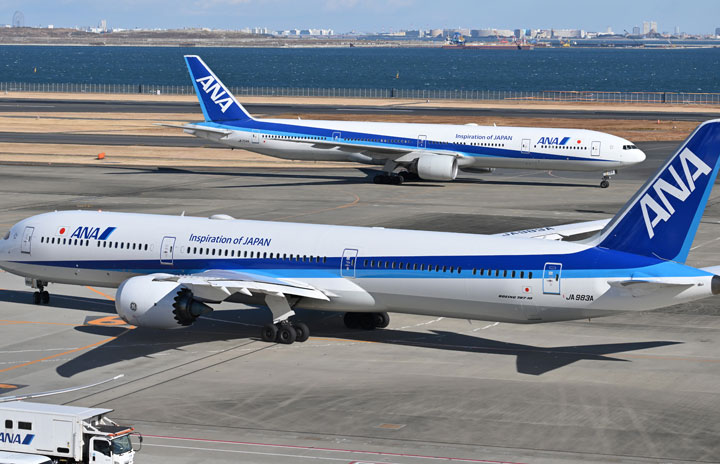 ANA、26年度新卒815人採用 CA倍増600人